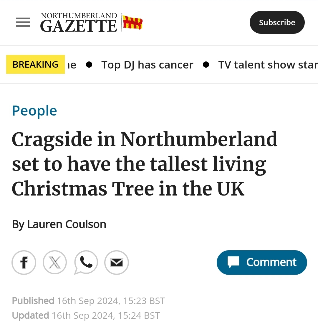 UK’s Tallest Christmas Tree at Cragside – A lesson in bus/rail ...